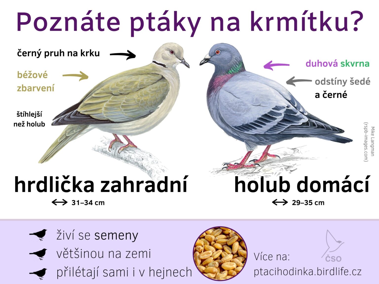 Seznamte se: HRDLIČKA ZAHRADNÍ | ZŠ Černošice